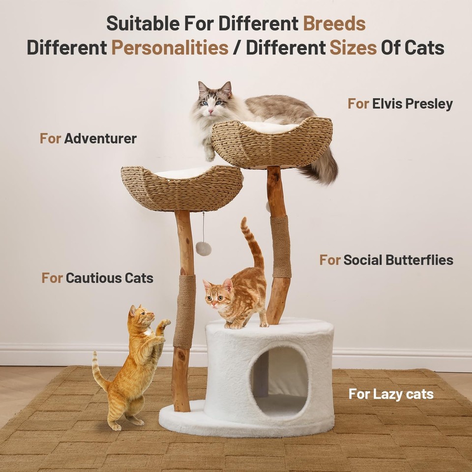 Modern Cat Climbing Tower Solid Wood Cat Tree for Indoor Cat Large ...