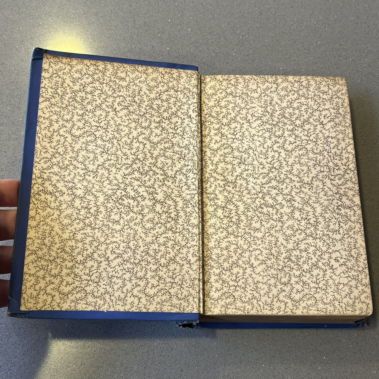 1888 Life and Public Services of Grover Cleveland & Allen G. Thurman ...