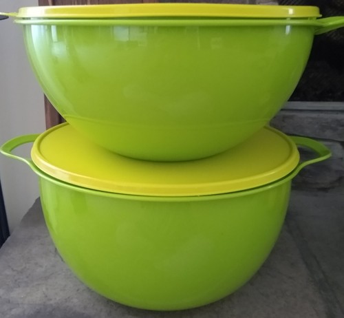 TUPPERWARE THATSA BOWL AND LID SEAL 32 CUP 7.8 LITER & 42 CUP 10 L ...