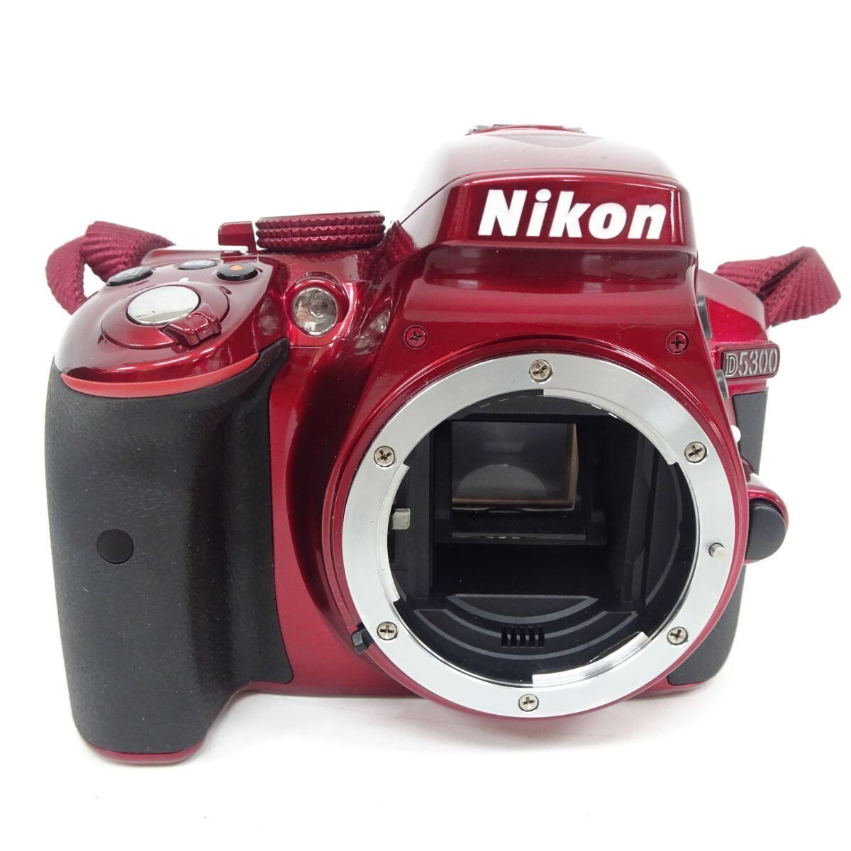 Nikon D3100 Fps