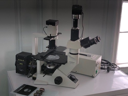 Olympus CKX41 Inverted Phase Contrast Fluorescence Microscope | eBay