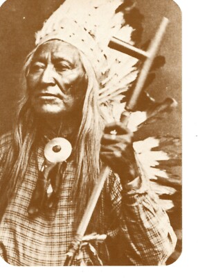 Native American Chief SHOSHONE Washakie Old West Collectors Series ...