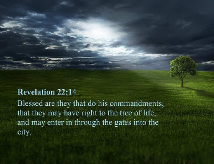 Revelations Bible Verse Wallpaper Revelation 3 20 Bible Verse Wall Art