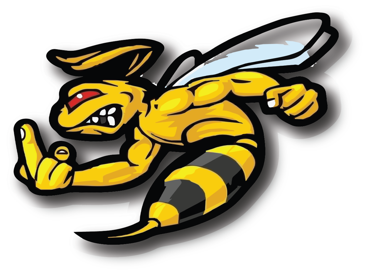 SUPER BEE MIDDLE FINGER STICKER DECAL Ski Decals Doo Trailer Scat Pack ...