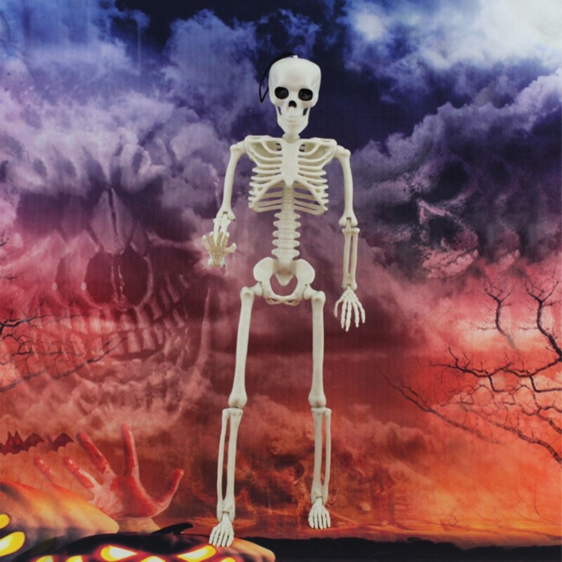 40cm Skeleton Action Figure Human Skull Hanging Decoration Halloween ...
