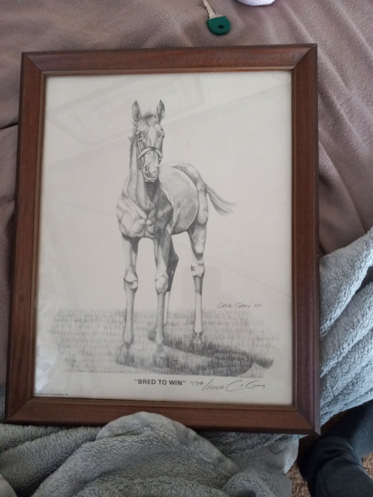 Gene Gray prints | eBay