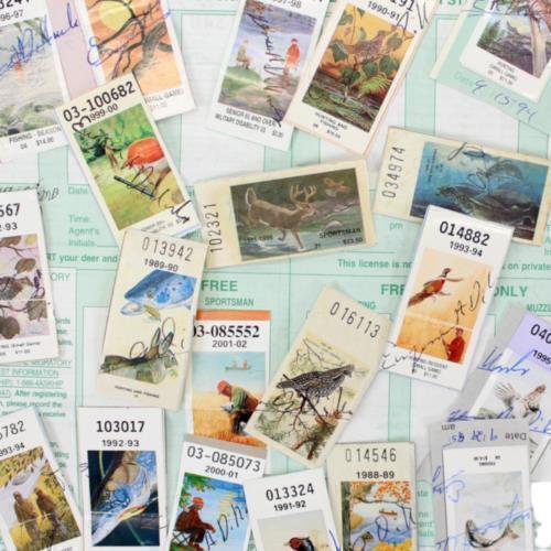 NYS HUNTING FISHING VINTAGE PERMITS LICENSES WILDLIFE NEW YORK 1980s ...