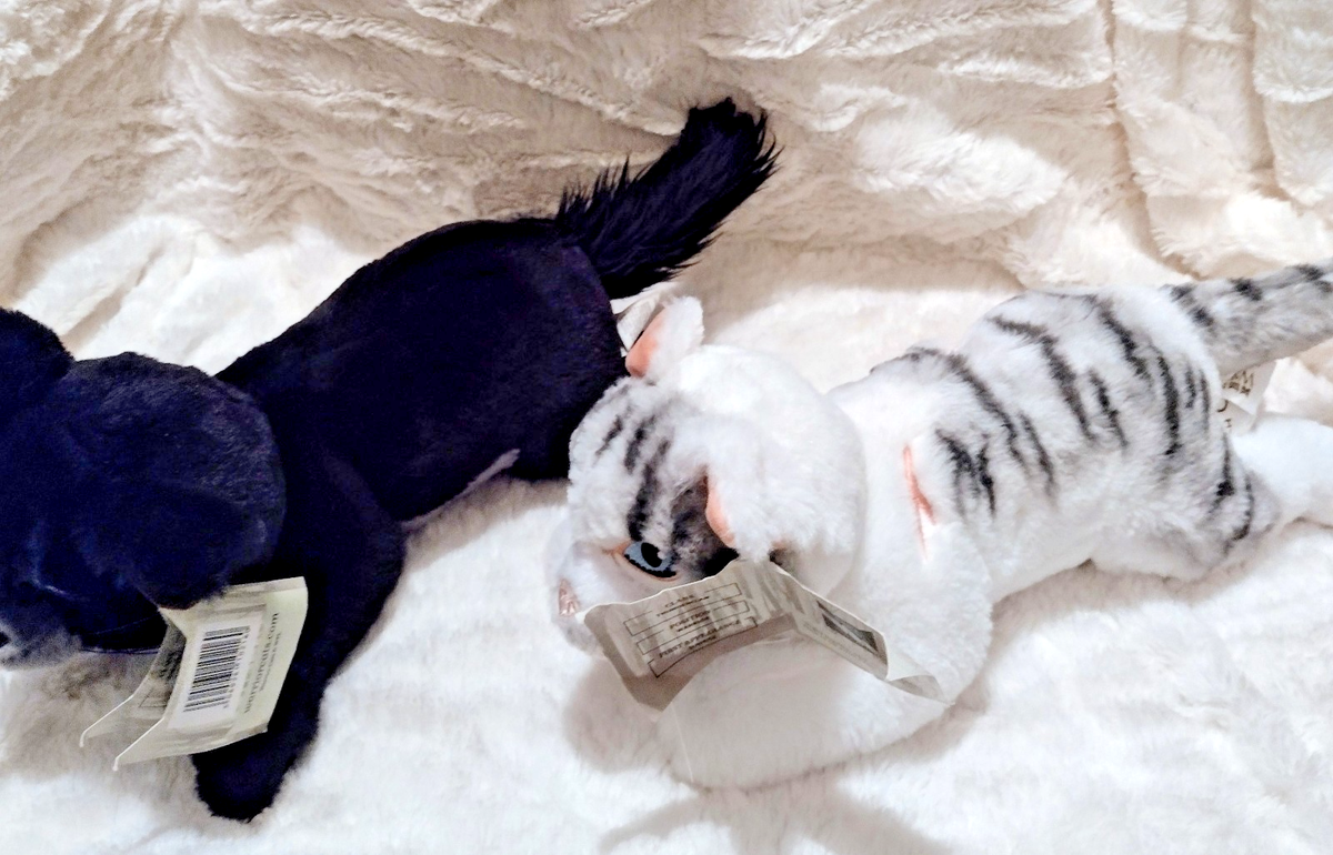Cinderpelt Warrior Cats Plush