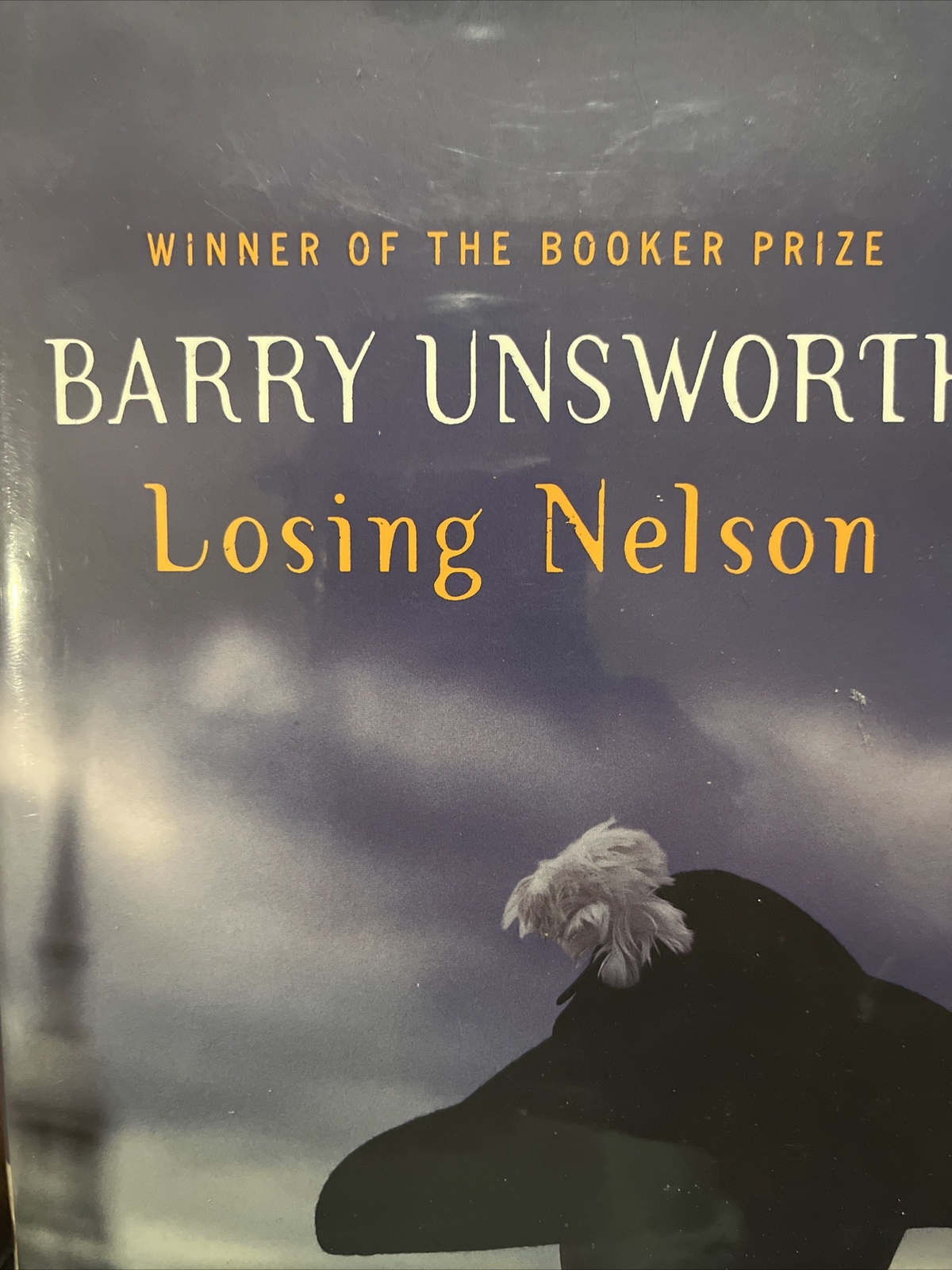 Losing Nelson by Barry Unsworth 9780241137000 for sale online | eBay