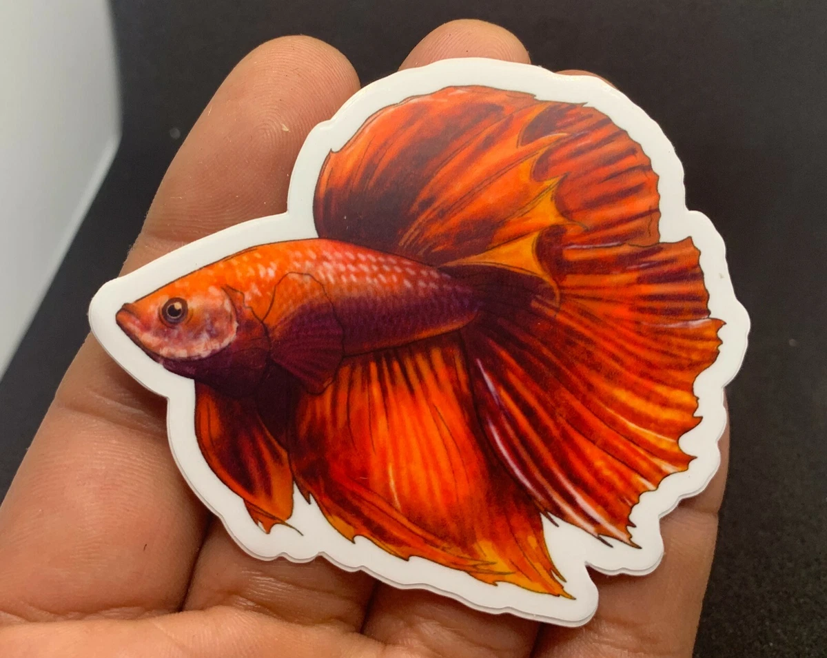 Double Tail Betta Fish