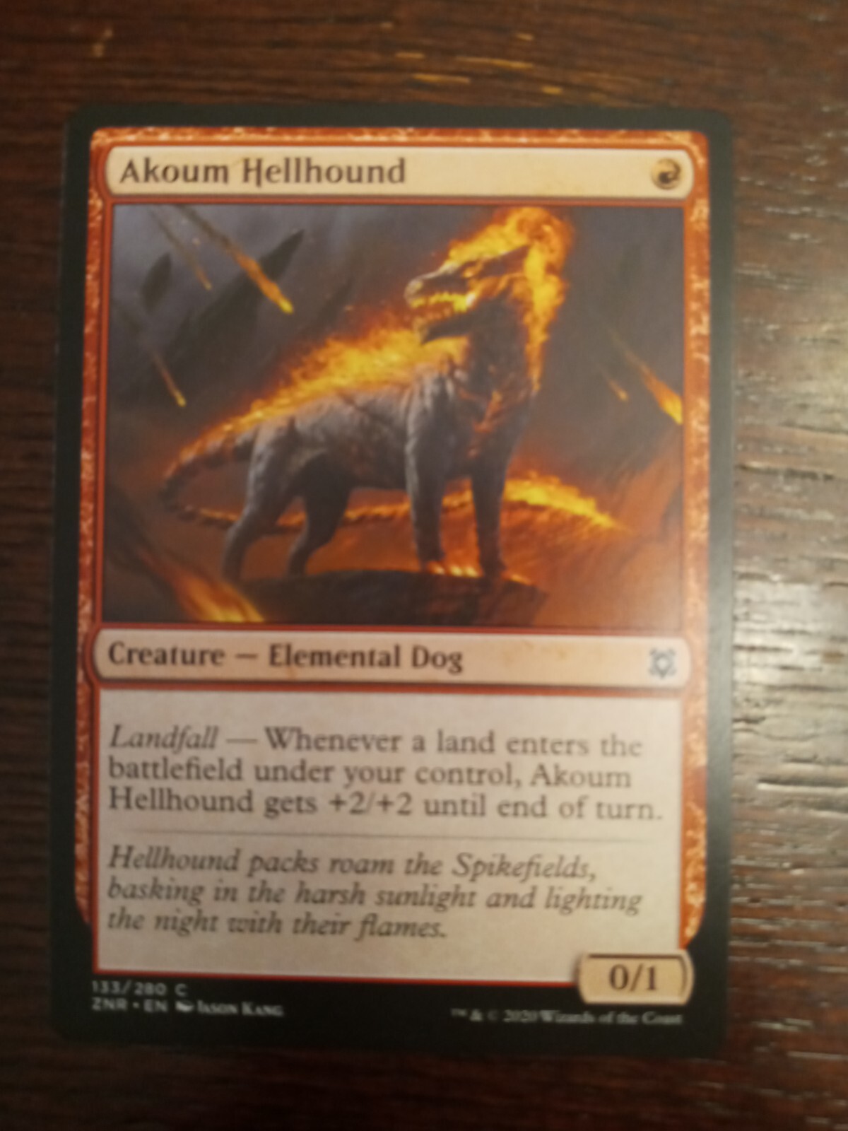 MTG Zendikar Rising Akoum Hellhound 133 NM/M | eBay