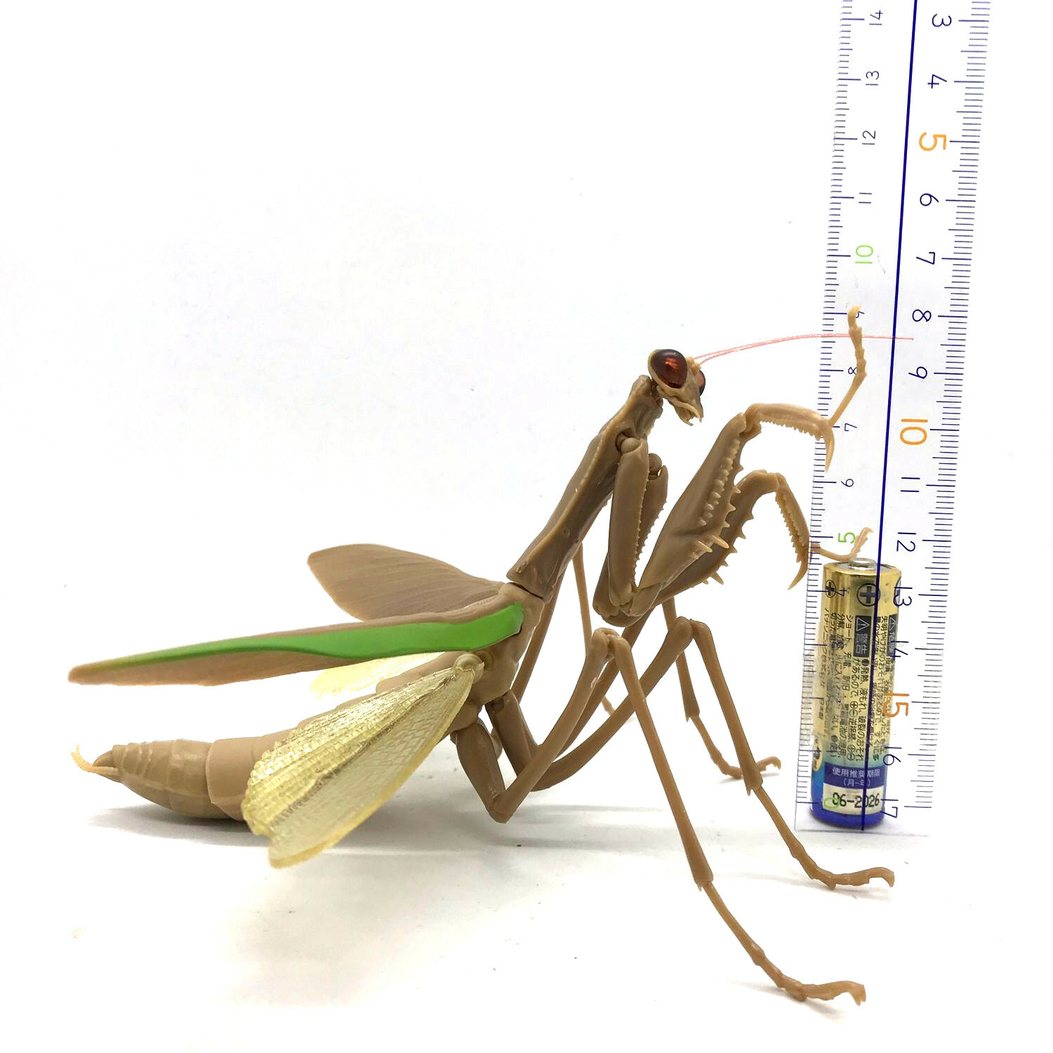 Bandai Encyclopedia of Creatures MANTIS Abdominal Normal No.03 Insect ...