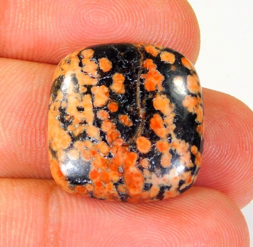 20 Ct Natural Leopard Skin Jasper Square Cabochon Untreated Gemstone DF ...