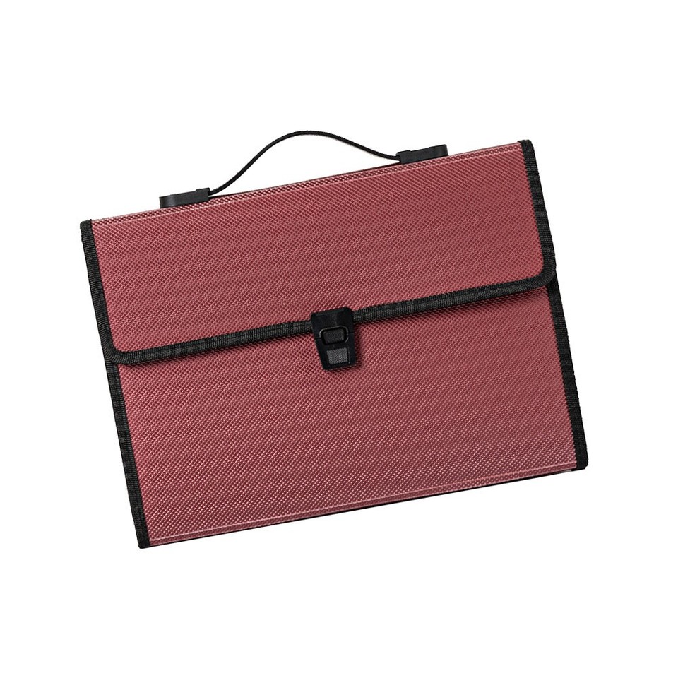 Folding File Folder Organizer Extended with According for A4 size ...