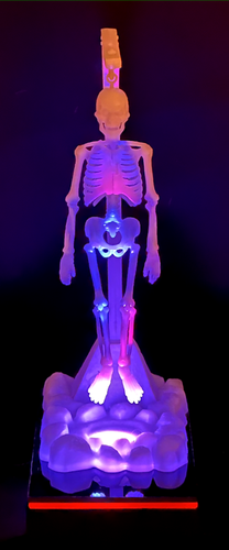 Dencomm Aurora Moebius Monster Scenes 1/13 Skeleton Glow model kit ...