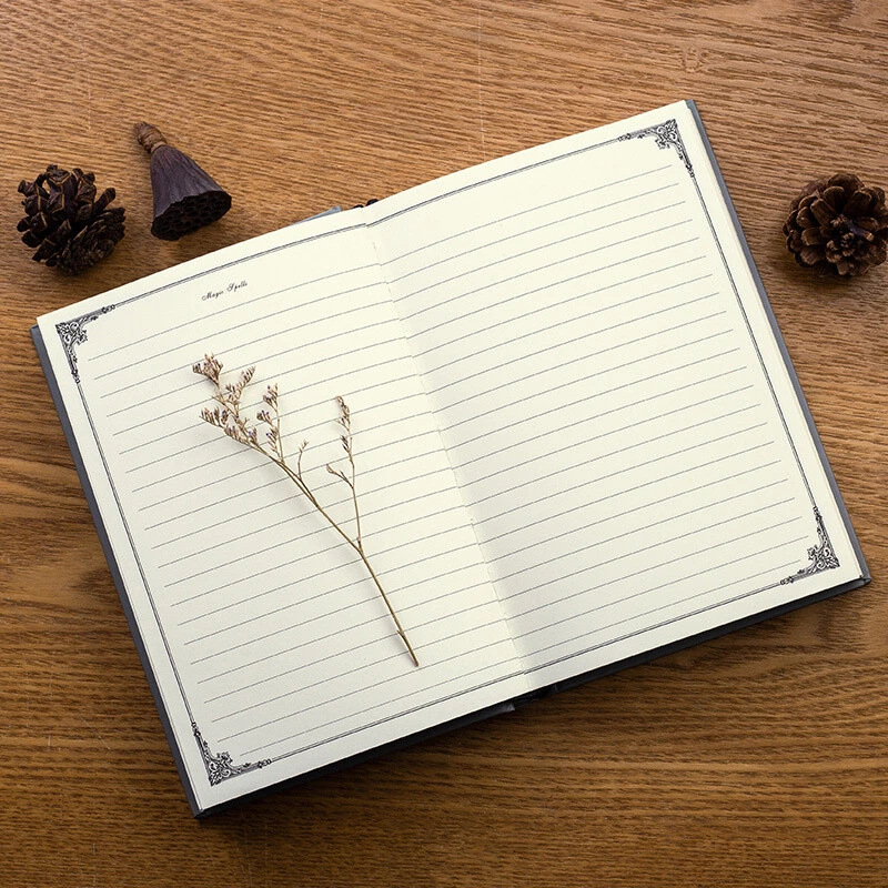 Blank Diary Page With Lines
