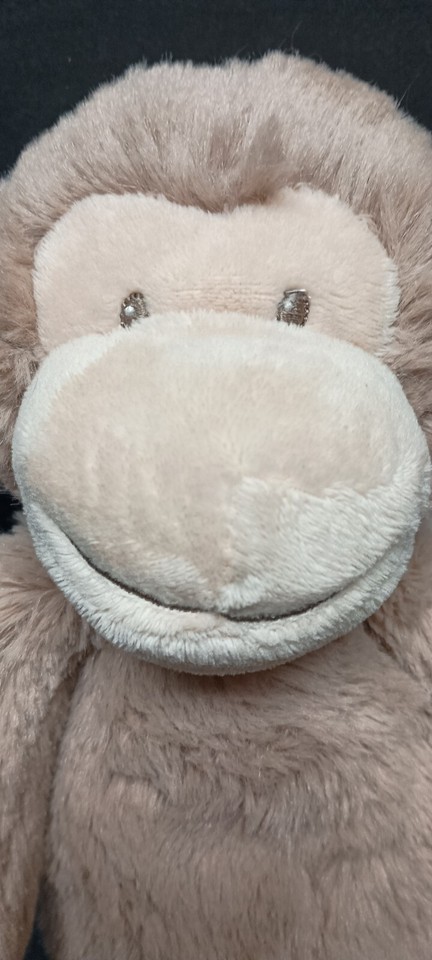 Carter's Plush Musical Monkey Plays "You Are My Sunshine" 10" Wind Up ...