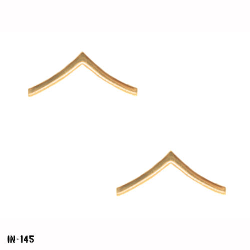 PAIR Police & Security ~ Private Rank Chevron Pins ~ Gold Tone ~ Gemsco ...