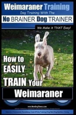 Paul Allen Pear Weimaraner Training Dog Training with the No BRAINER ...