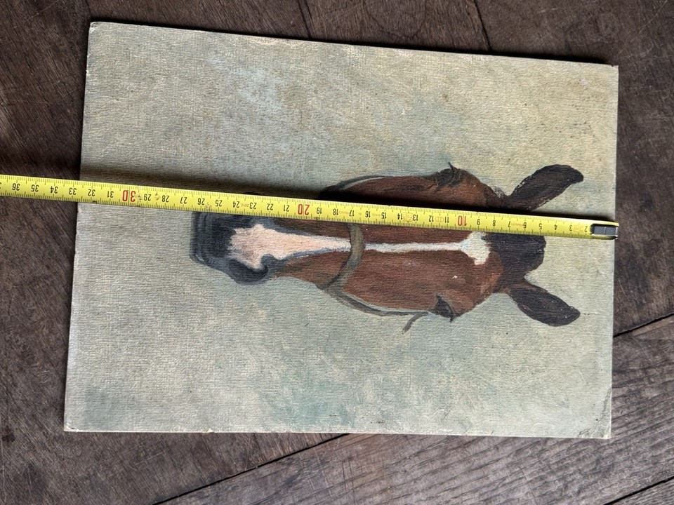 Studio Di Cavallo - Dipinto Fine Del XIX Secolo - Cavalli - Equestre | eBay