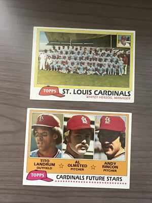 1981 Topps Baseball Card Lot ST. LOUIS CARDINALS Team Checklist ...