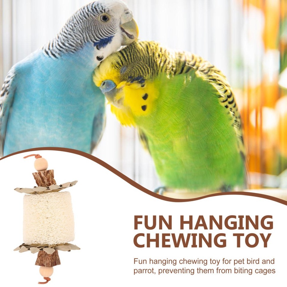 Parakeets Biting Toy Parrot Biting Toy Parrot Biting Toy Parrot Loofah ...