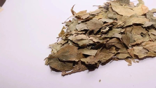 Dried Bael Fruit Leaves 500g Bilva Bel Patra Organic free shipping ...