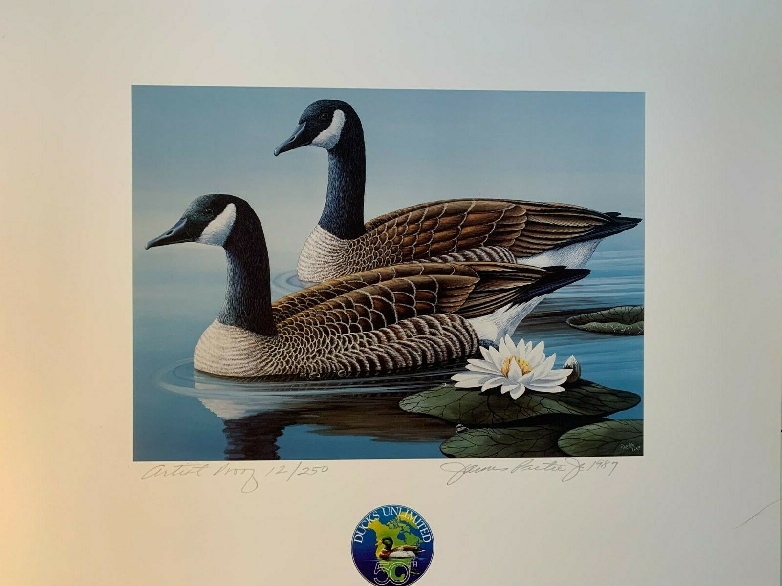 James Partee Jr. Artist Proof Lithograph Print "Canada Geese" | eBay