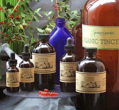 PUNCTURE VINE Tribulus terrestris Stamina Wellbeing Folk Tincture ...