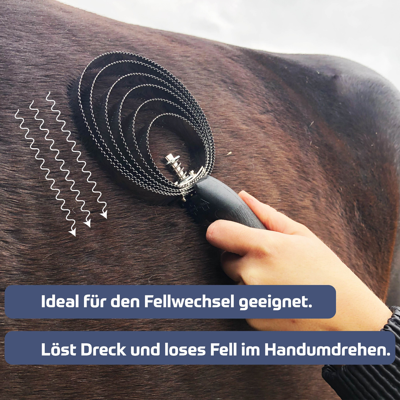 Striegel Pferd Putzzeug Pferd Metallstriegel für Reinigung, Schmutz ...