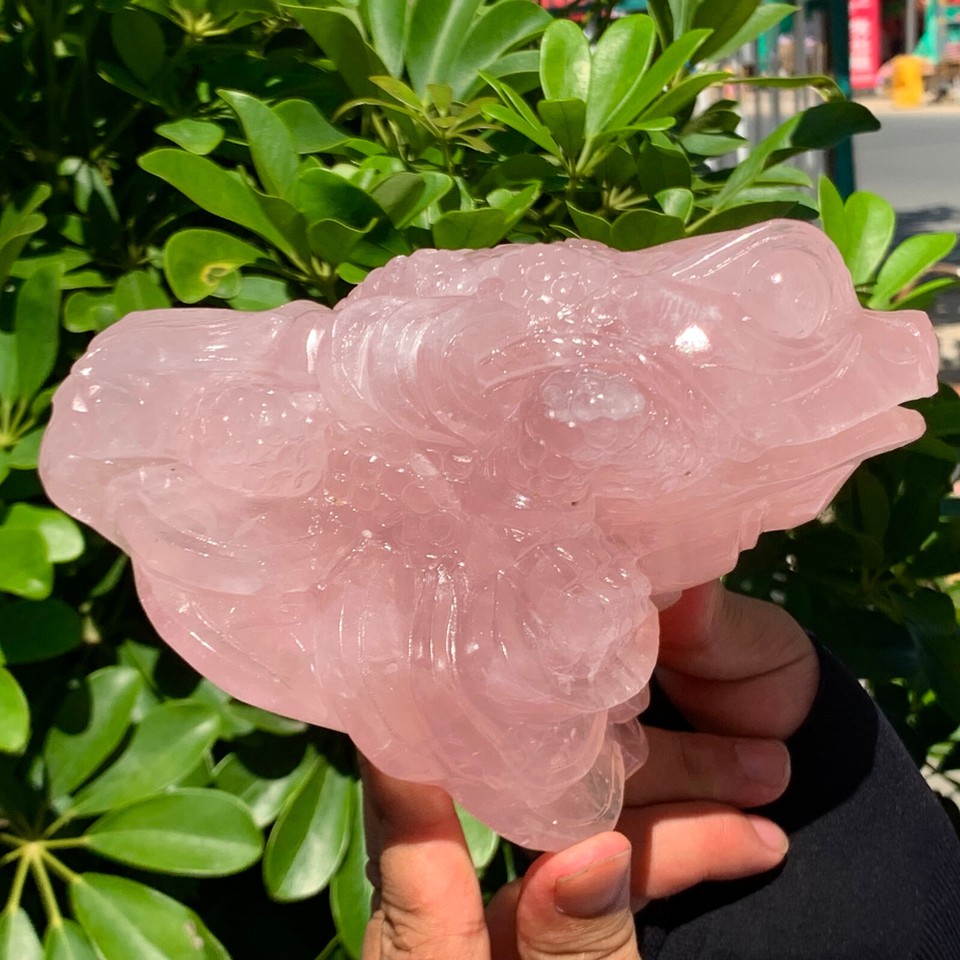 4.19LB Natural Powder Crystal Toad Quartz Carving Healing | eBay