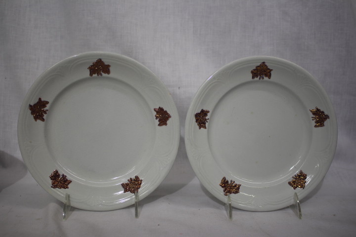 Pair of 2 Antique E. Walley NIAGARA SHAPE 8.5" Ironstone Plates w ...