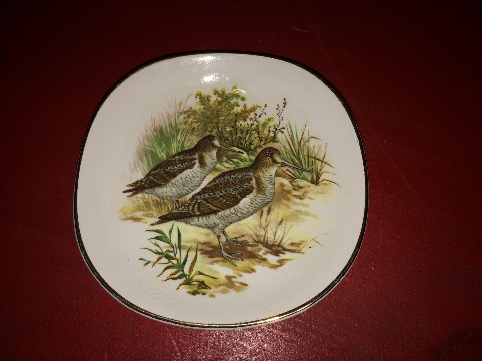 Weatherby Hanley Royal Falcon Ware Bird Plate | eBay