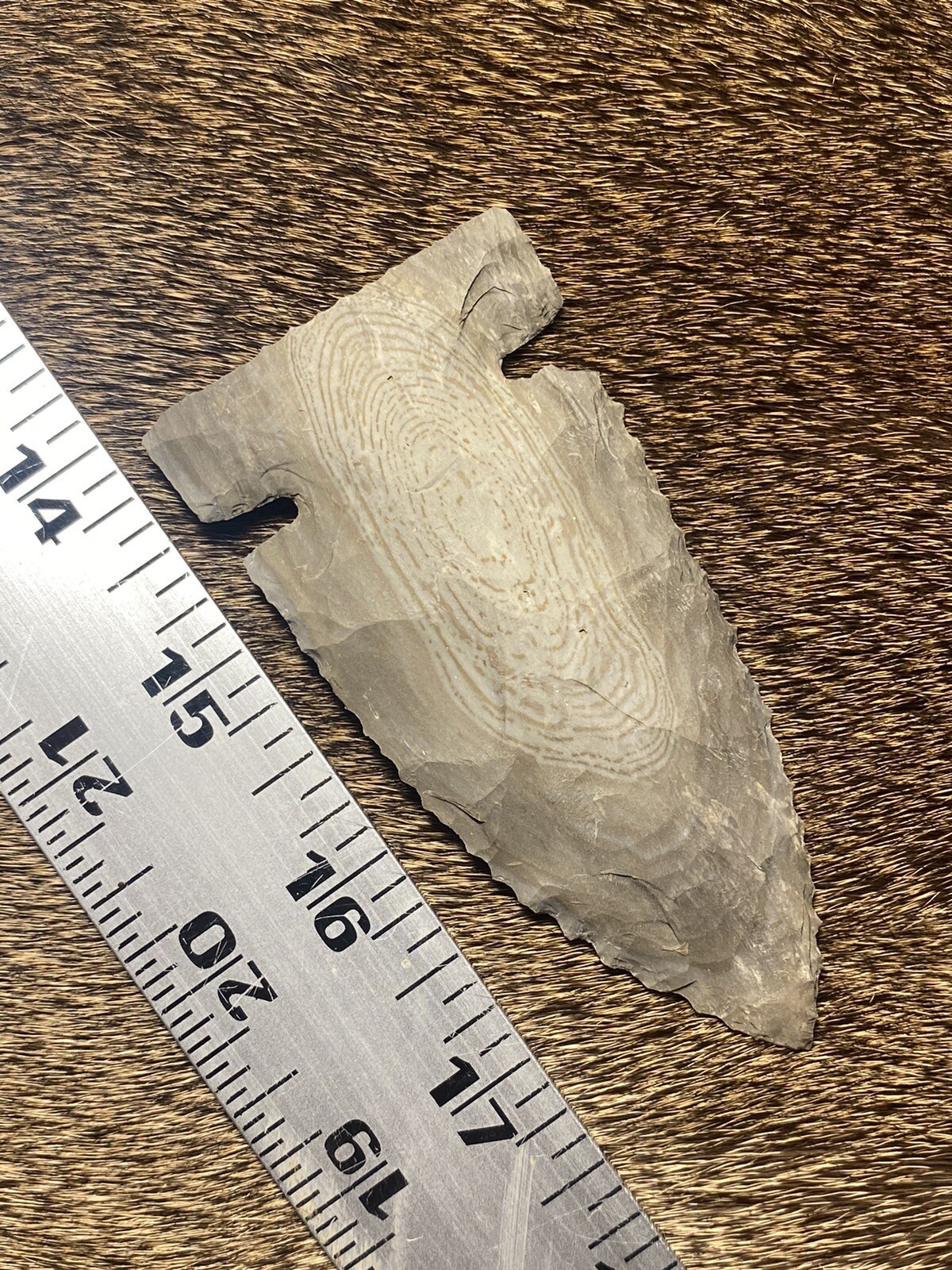 Chocolate Bullseye Buffalo River Flint Knapped Side Notch Point ...