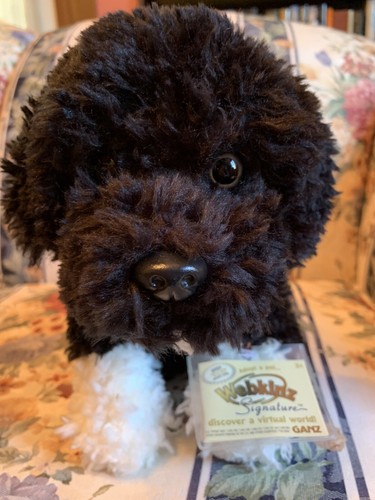 Webkinz Signature Portuguese Water Dog WKS1023 With UNUSED code | eBay
