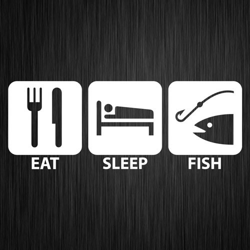 Eat Sleep Fish Sticker Vinyl Car Decal 200mm x 75mm | eBay Australia