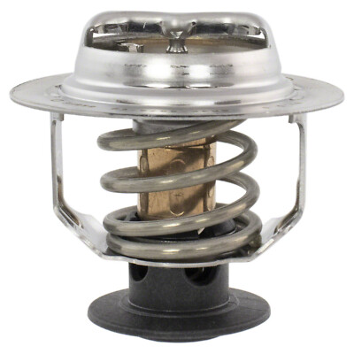 Engine Coolant Thermostat-Therm 190 Motorcraft RT-1251 | eBay