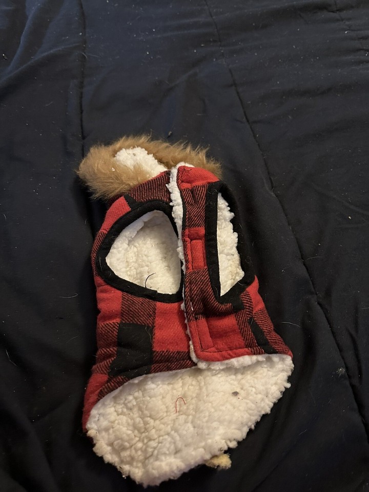 Vibrant Life Pet Jacket XXS 3-7 Lb Toy Yorkie, Toy Fox Terrier, Cat (Q ...