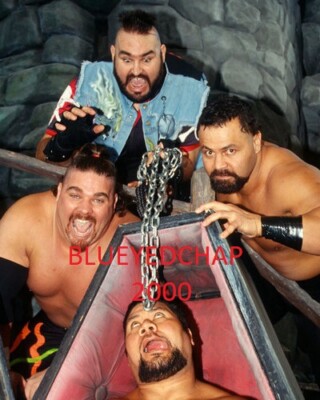 DUNGEON OF DOOM WRESTLER 8 X 10 WRESTLING PHOTO WCW | eBay