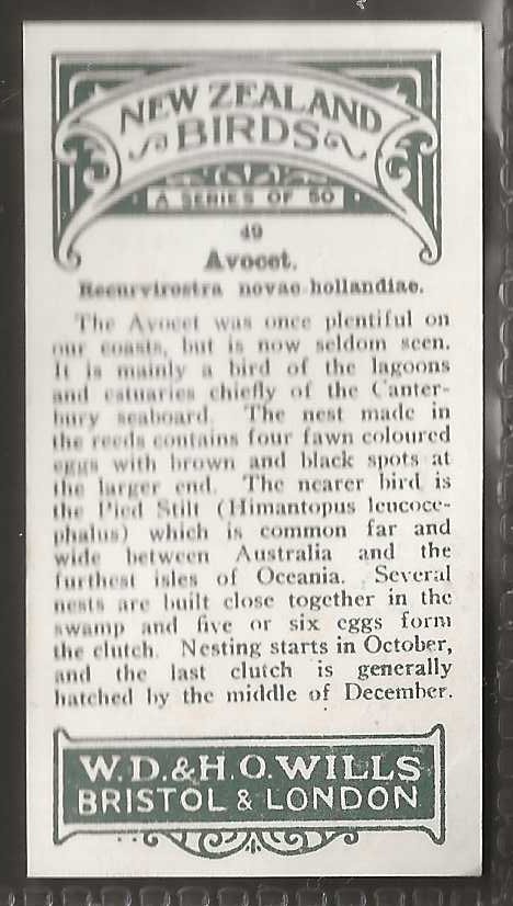 WILLS NZ ISSUE-NEW ZEALAND BIRDS 1925-#49- AVOCET | eBay