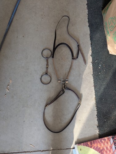 Dutton Style Snaffle Bit and Martin Leather Tie Down and Strap Horse ...