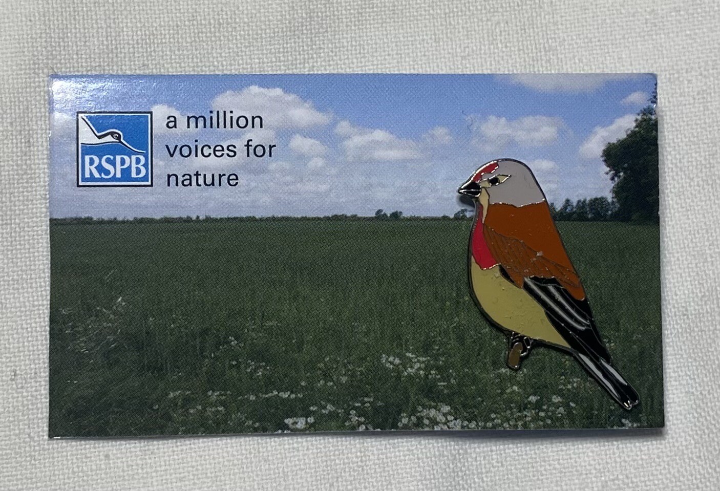 Linnet RSPB Pin Badge. | eBay UK