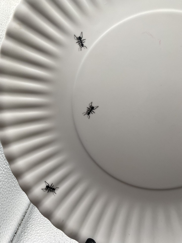 one hundred eighty degrees Reusable Paper Style Plate With Fake Ants 11 ...