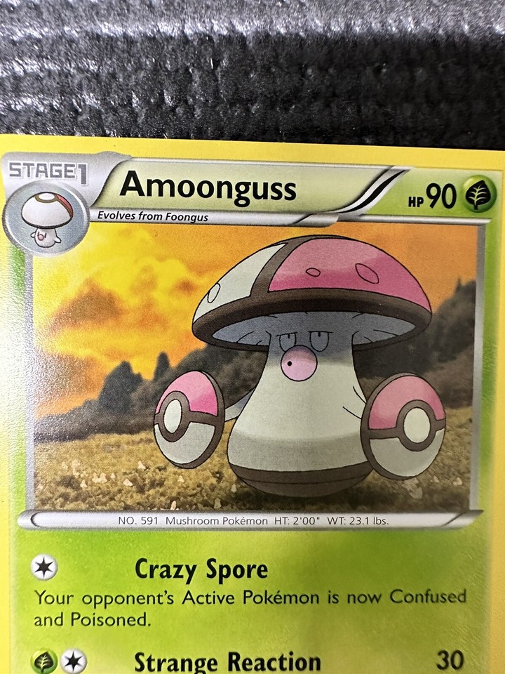 Amoonguss #13/114 Steam Siege Rare Pokemon Card | eBay