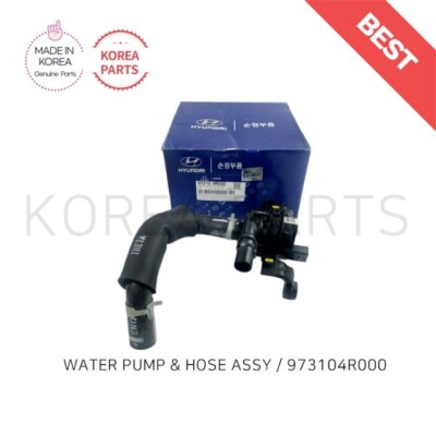 GENUINE Water Pump & Hose Heater Exchange Auxiliary Optima Sonata ...