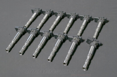 07C905115J Audi A8 4E 6.0 VW 3D 7L Passat W8 Ignition Coil Incl Spark ...