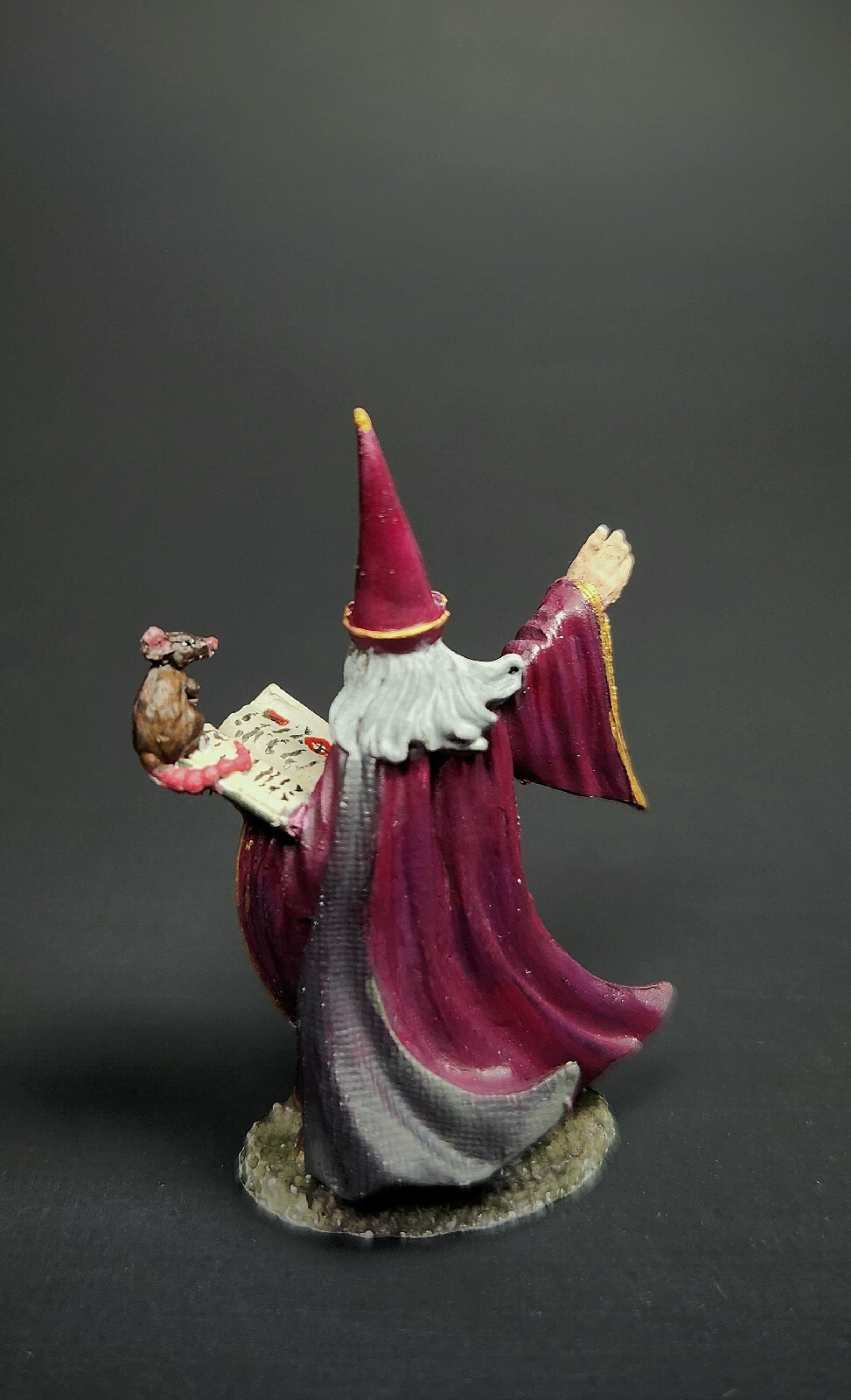Darius the Wizard, Human Wizard. Reaper Miniatures 28mm | eBay