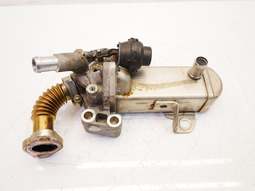 Radiateur de gaz d'échappement für Nissan 2,5 dCi YD25DDTI YD25 14735 ...