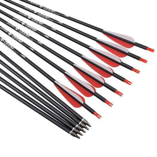 30 inch Carbon Arrow Hunting Arrows with 100 Grain Removable Tips for ...