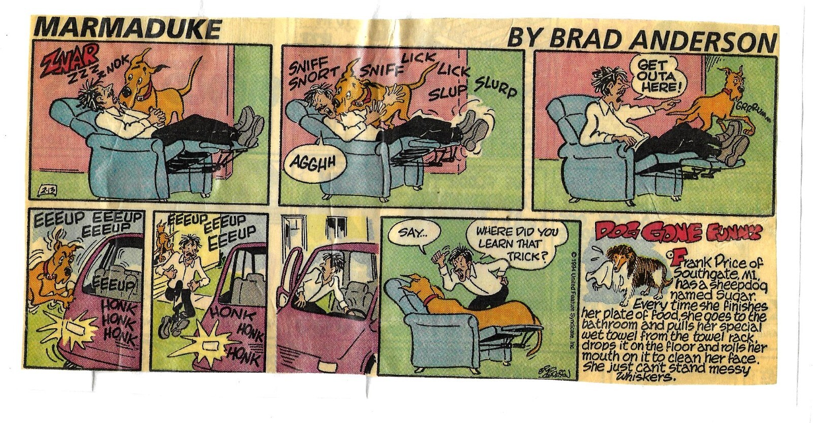 MARMADUKE by Brad Anderson, 1994, Laminated, Sunday Comic 2-13 | eBay
